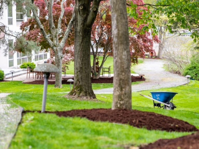 Commercial Landscape Contractors DLTC Inc. Bridgeport, CT (203) 338-9696